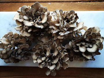 How to cook Maitake mushroom rice – Abokichi
